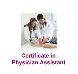 Certificate in Physician Assistant My Careers View - India's Best ...